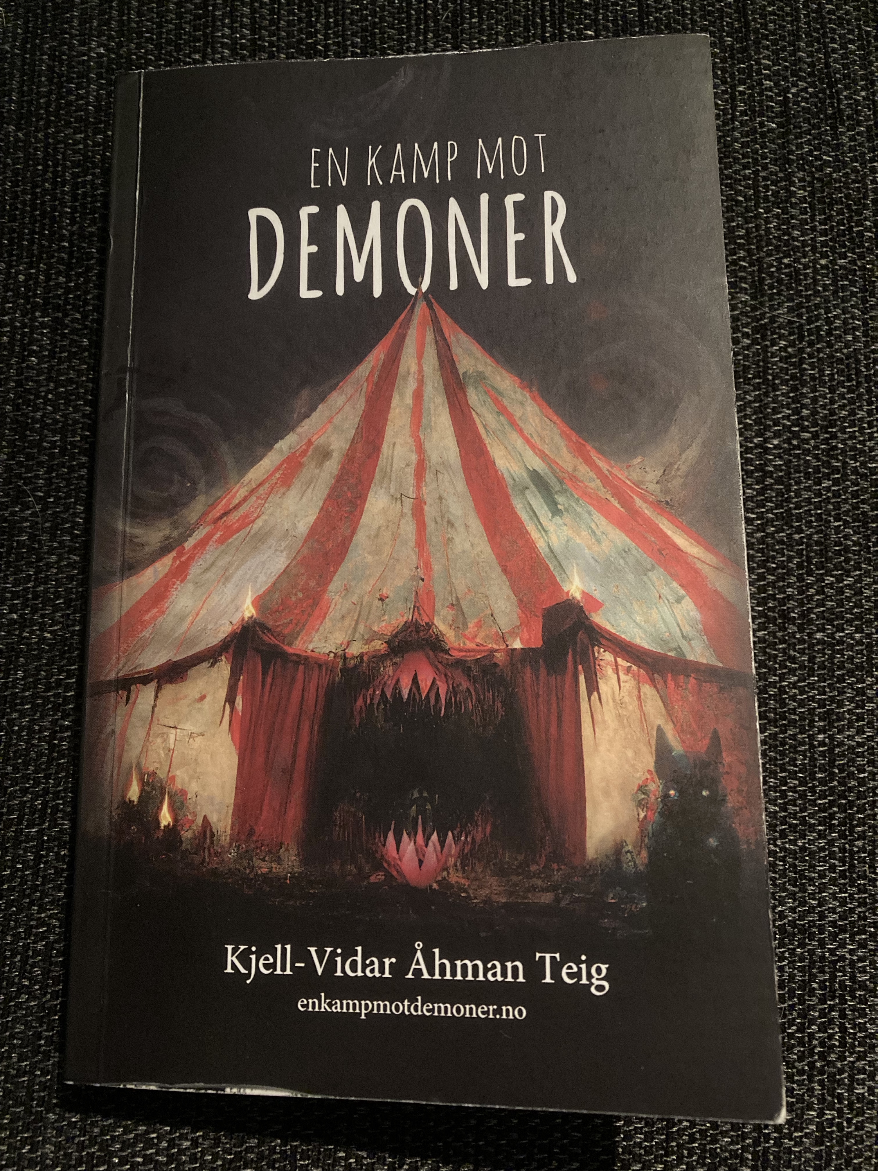 En kamp mot demoner av Kjell-Vidar Åhman Teig – Bokblogger