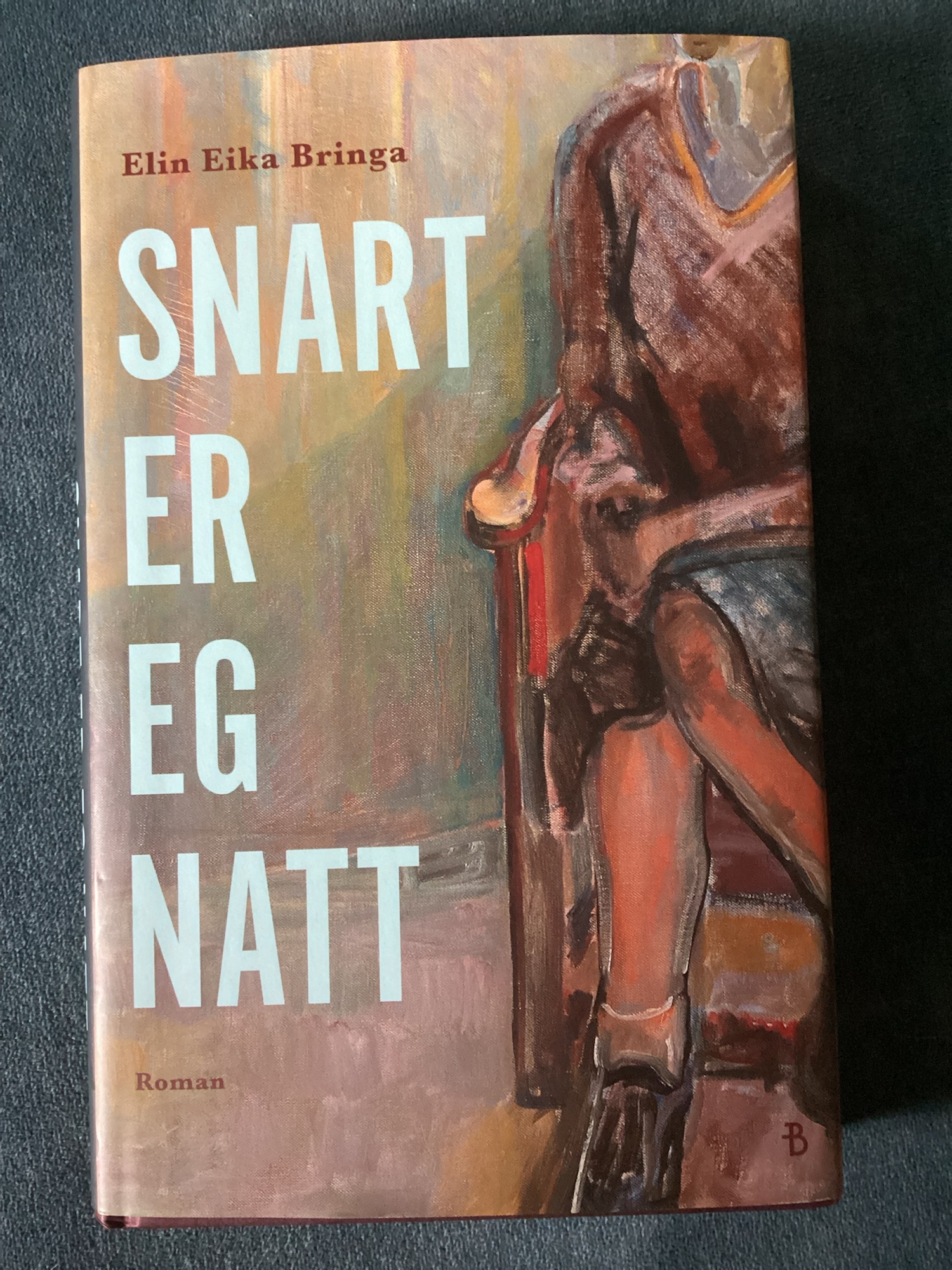 Snart er eg natt av Elin Eika Bringa – Bokblogger